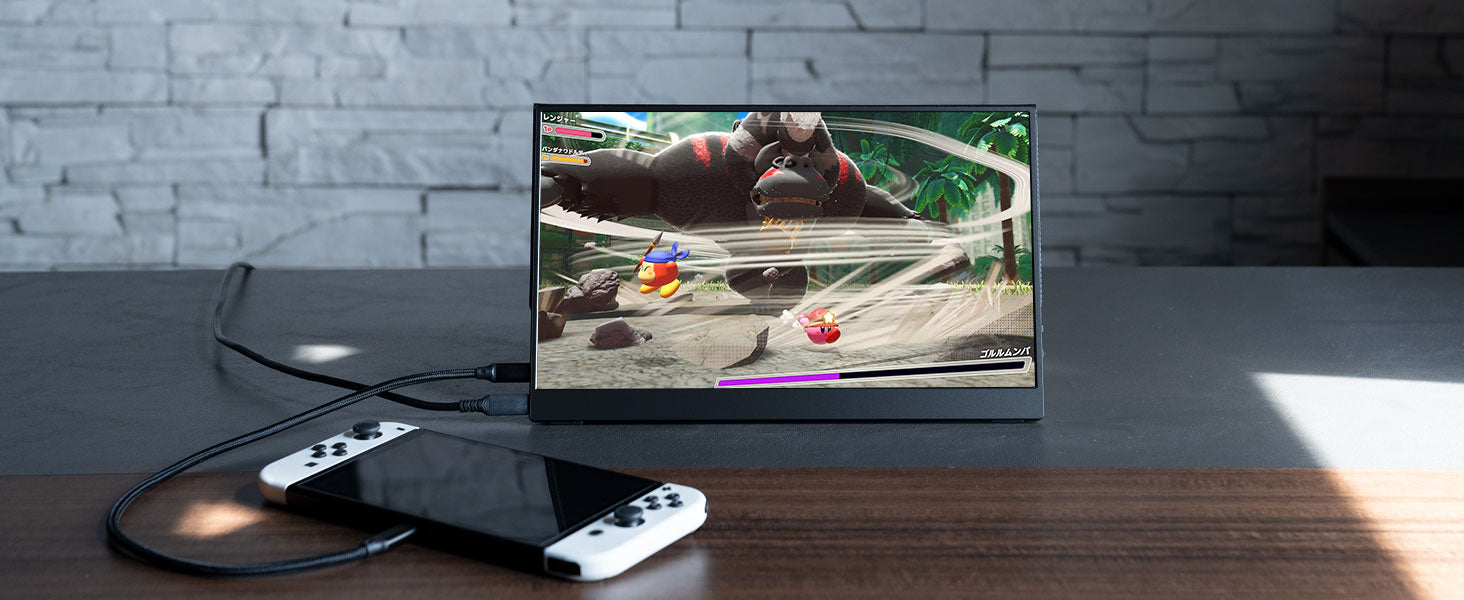 13.3" 1080P OLED Portable Monitor [F13NA] – Intehill