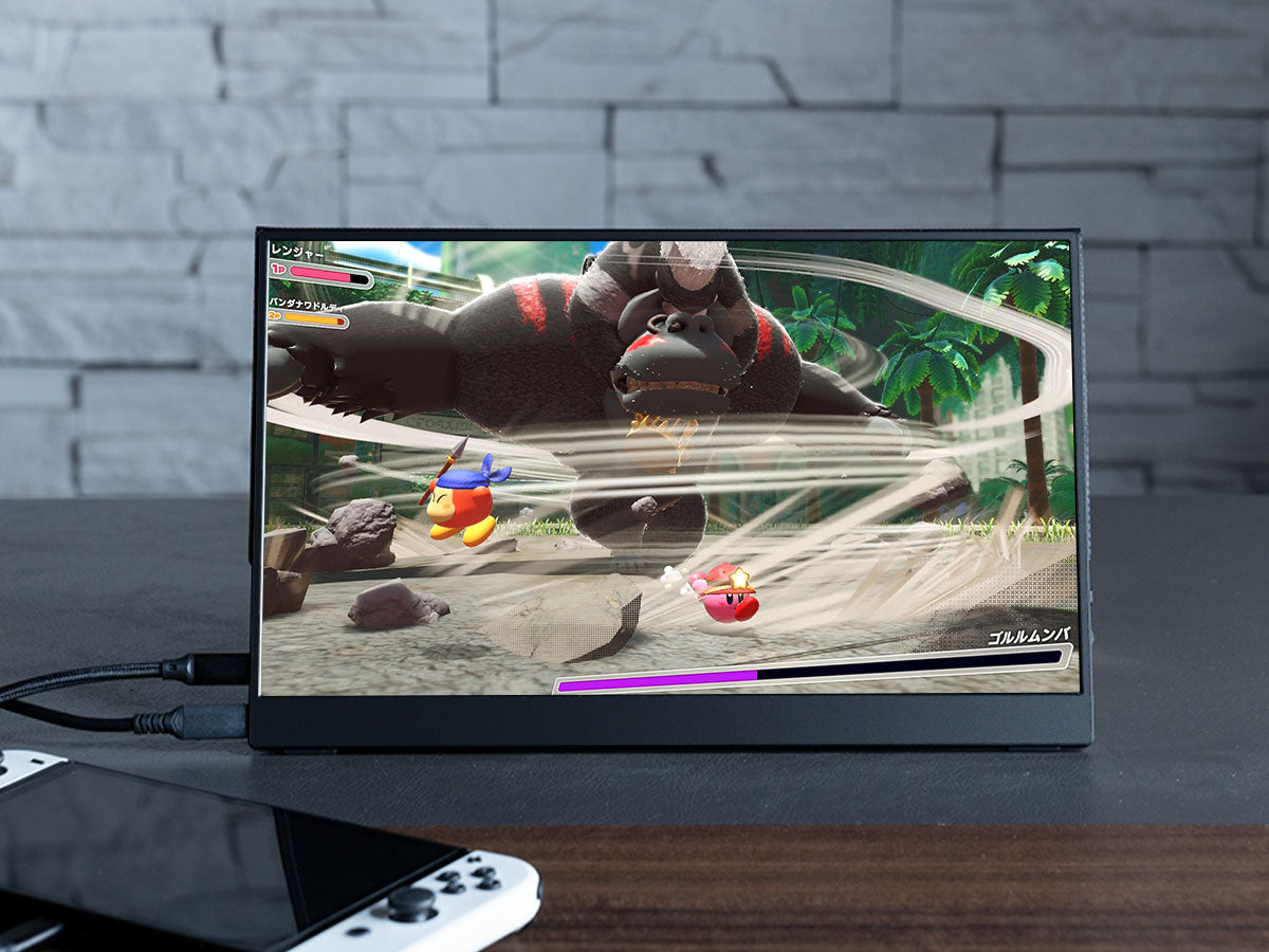 13.3" 1080P OLED Portable Monitor [F13NA] – Intehill